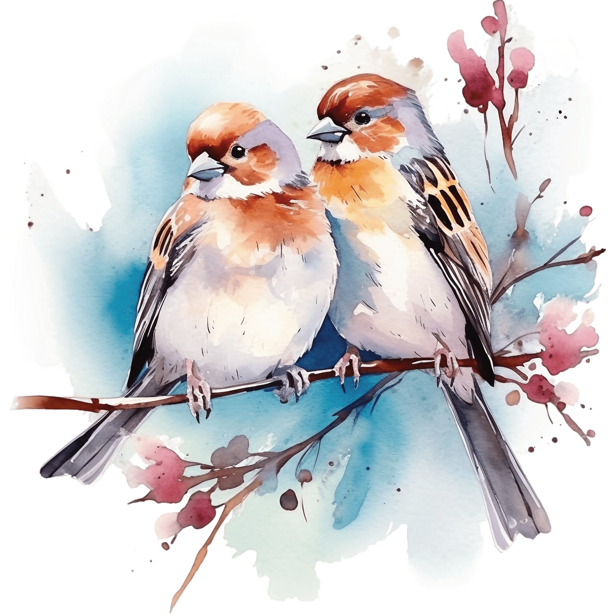 Sparrows Clipart Set: 12 High Quality Pngs, Watercolor Bird Clip Art ...