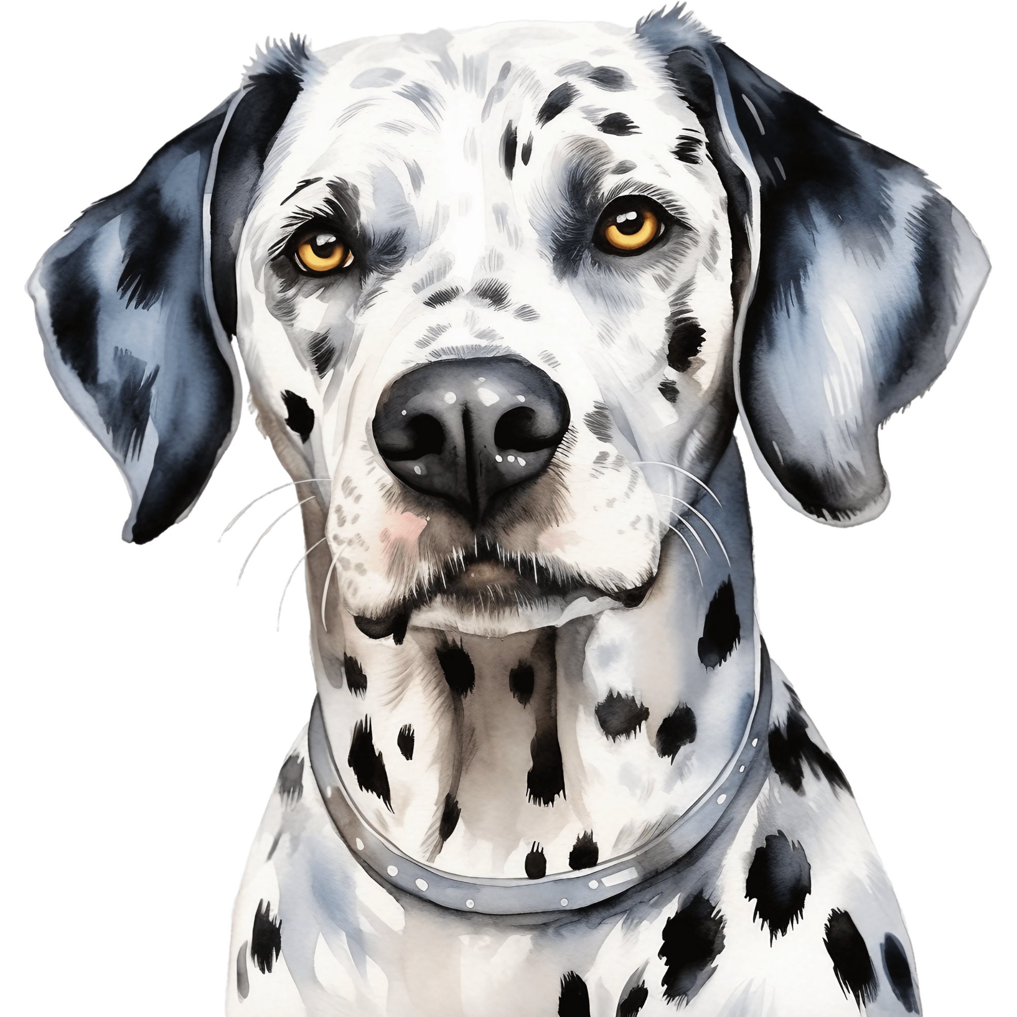 Dalmatian Clipart Set: 12 High Quality Pngs, Dalmatian Clip Art Card ...