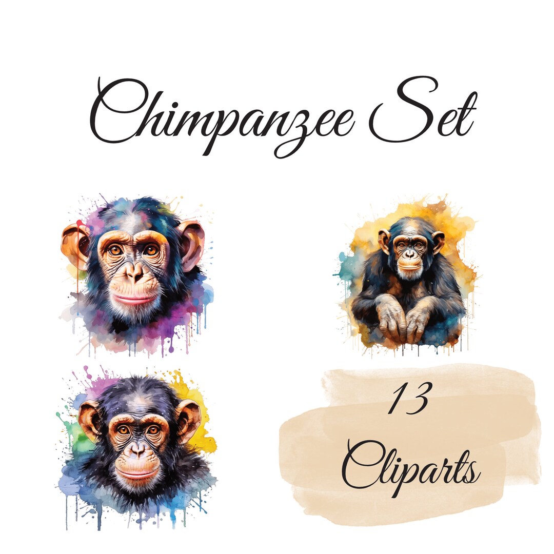 Chimpanzee Clipart Set in Watercolor Style: 15 High Quality Pngs ...