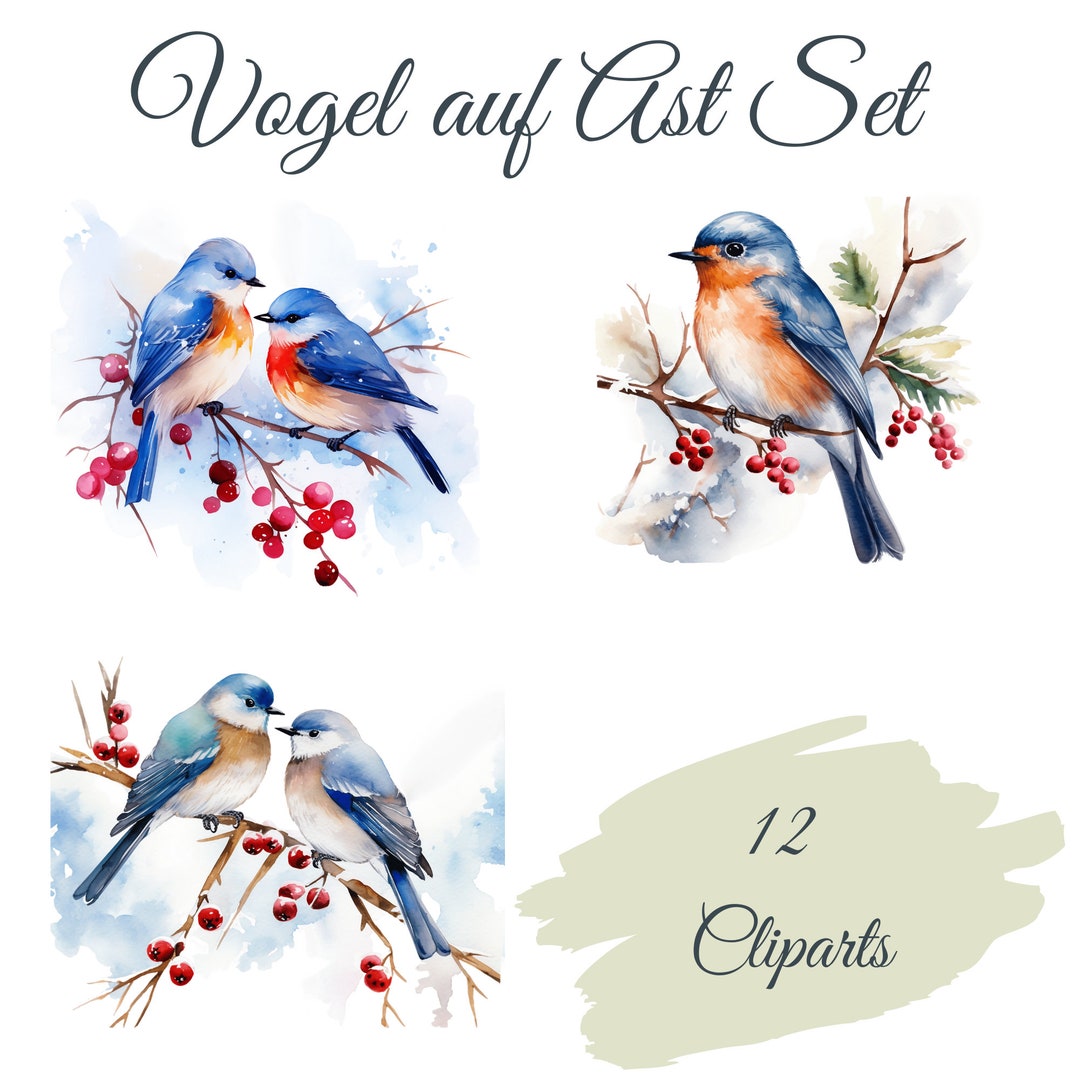 Winter Bird Clipart Set: 12 High Quality Pngs, Christmas Bird Clip Art ...