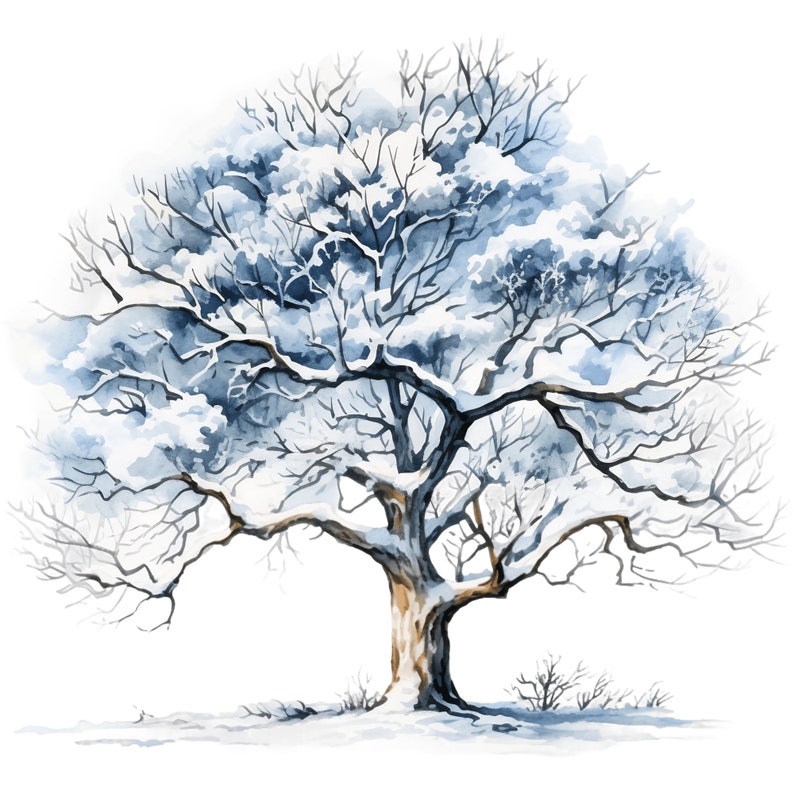 Snowy Trees Clipart Set: 14 High Quality Pngs, Watercolor Forest ...