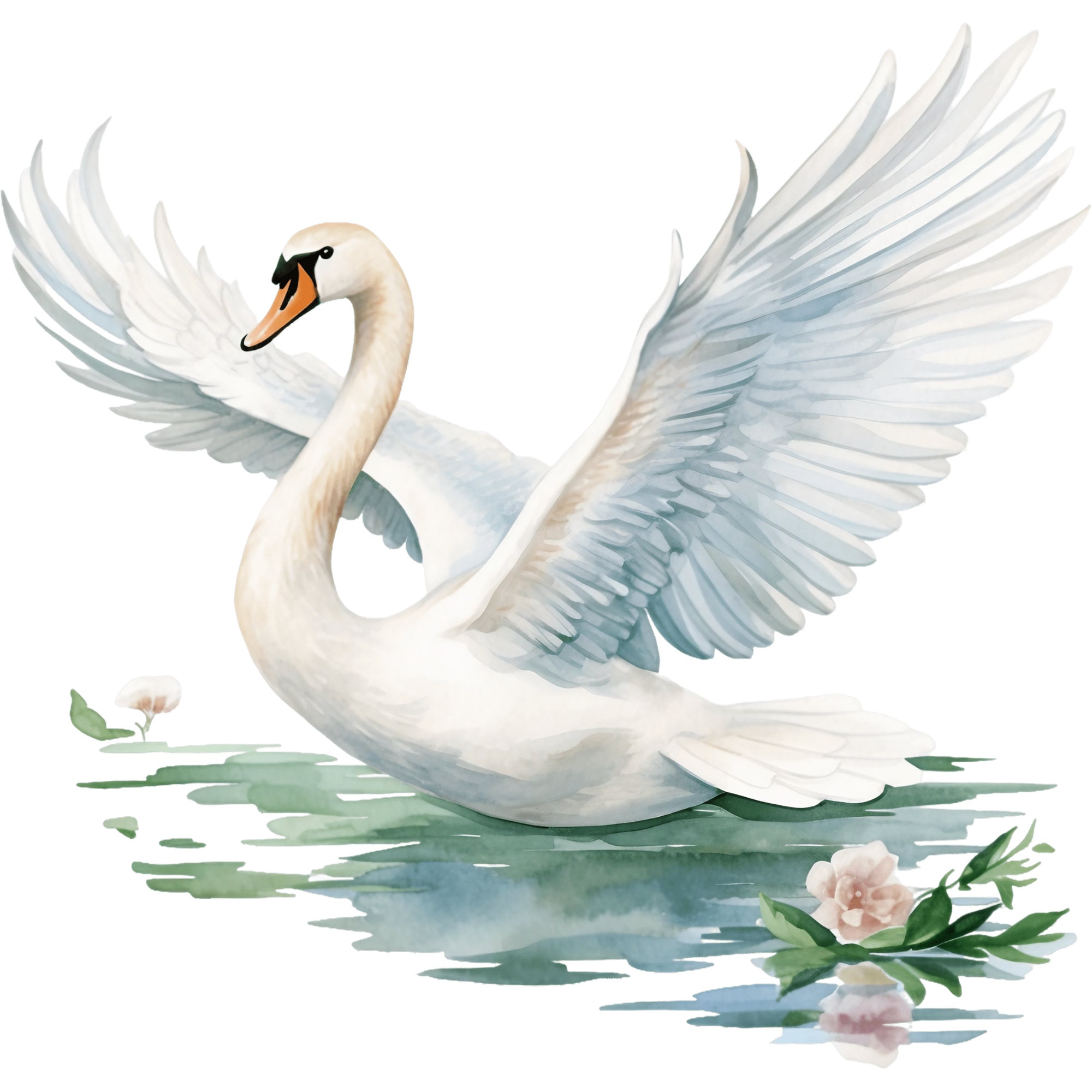 Swan Clipart Set: 12 High Quality Pngs, Watercolor Swans Clip Art Card ...