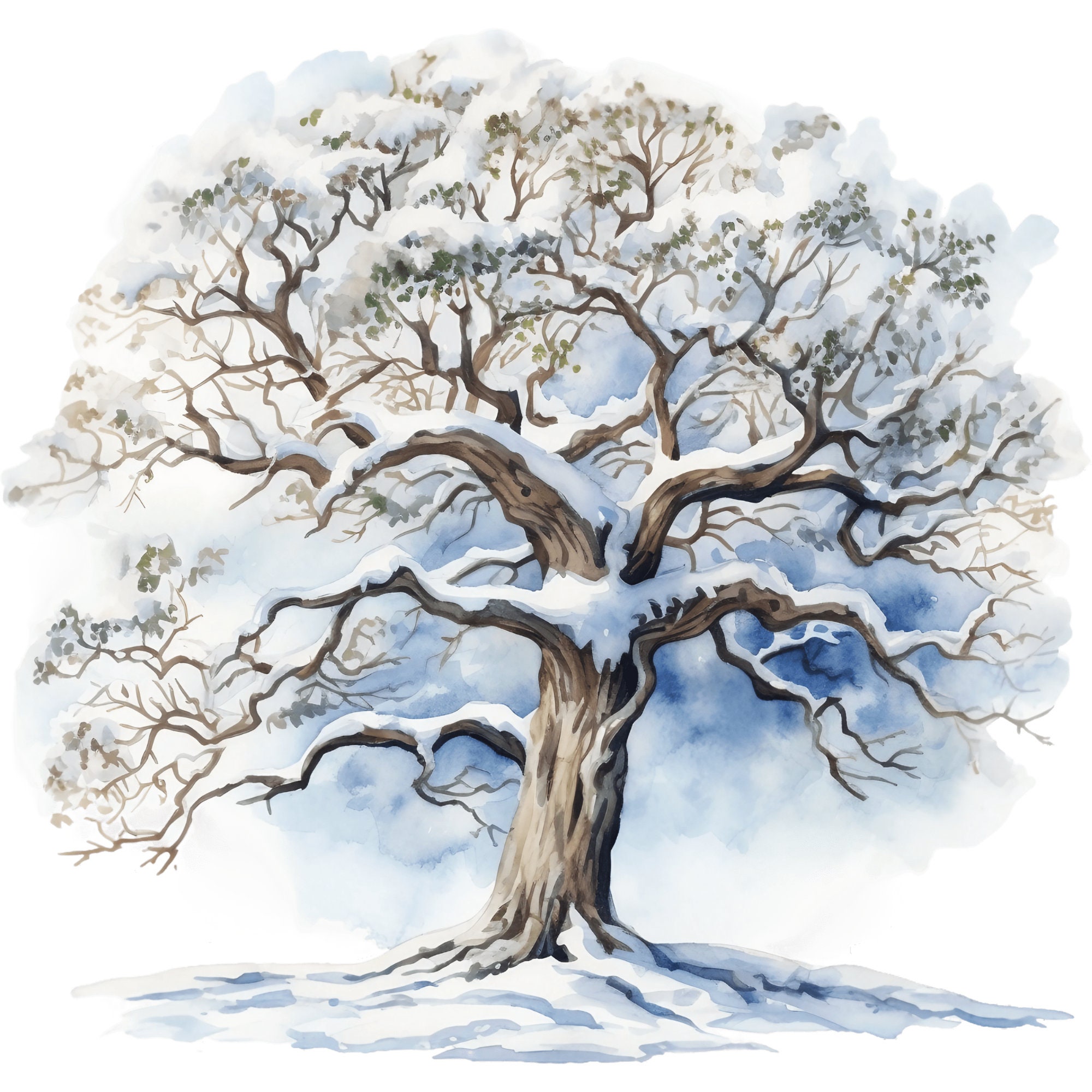 Snowy Trees Clipart Set: 14 High Quality Pngs, Watercolor Forest ...