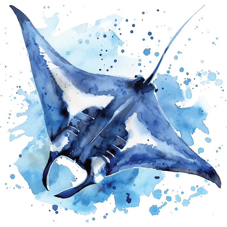 13 Majestätische Rochen Aquarell-cliparts Ideal Für Maritime Projekte ...