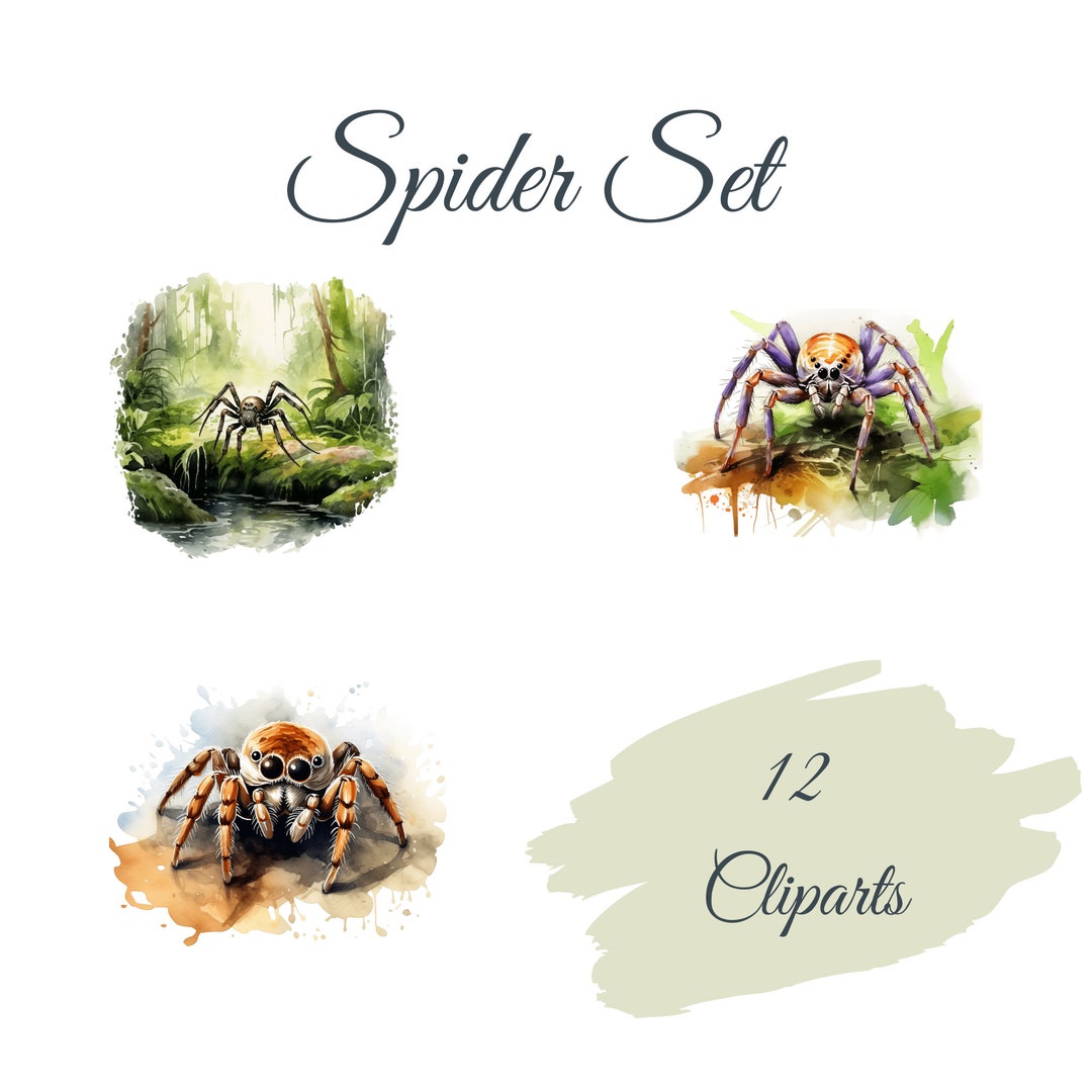 Spiders Clipart Set: 12 High Quality Pngs, Watercolor Spider Clip Art ...