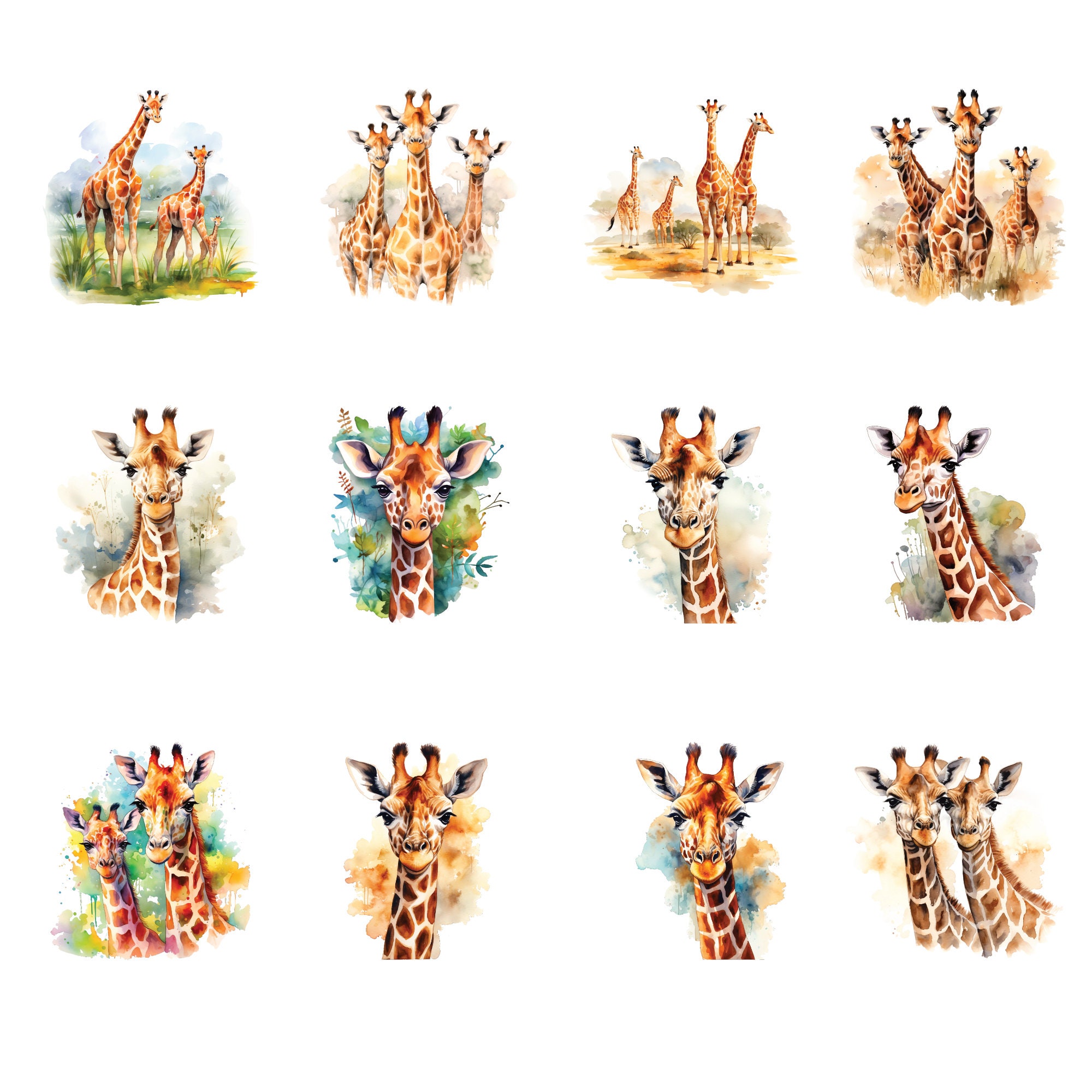 Giraffe Clipart Set: 12 High Quality Pngs, Watercolor African Animals ...