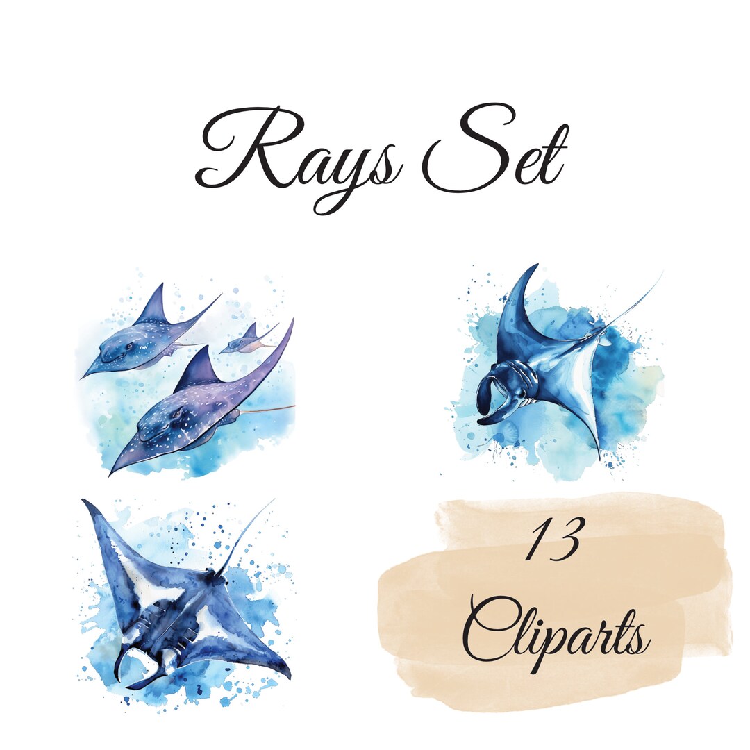 13 Majestic Rays Watercolor Clipart Ideal for Nautical Projects ...