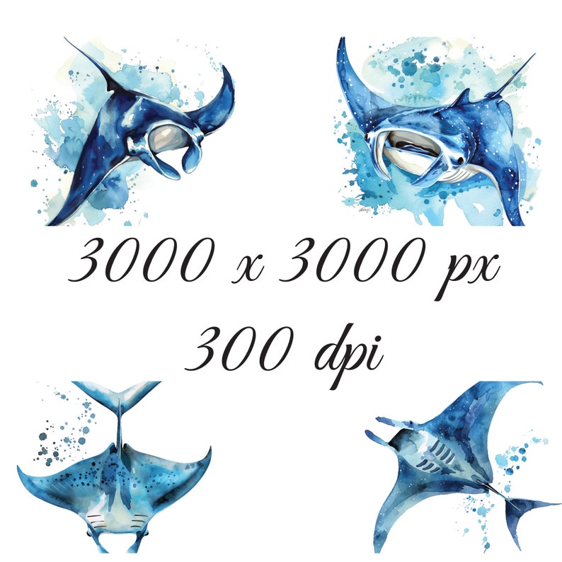 13 Majestätische Rochen Aquarell-cliparts Ideal Für Maritime Projekte ...