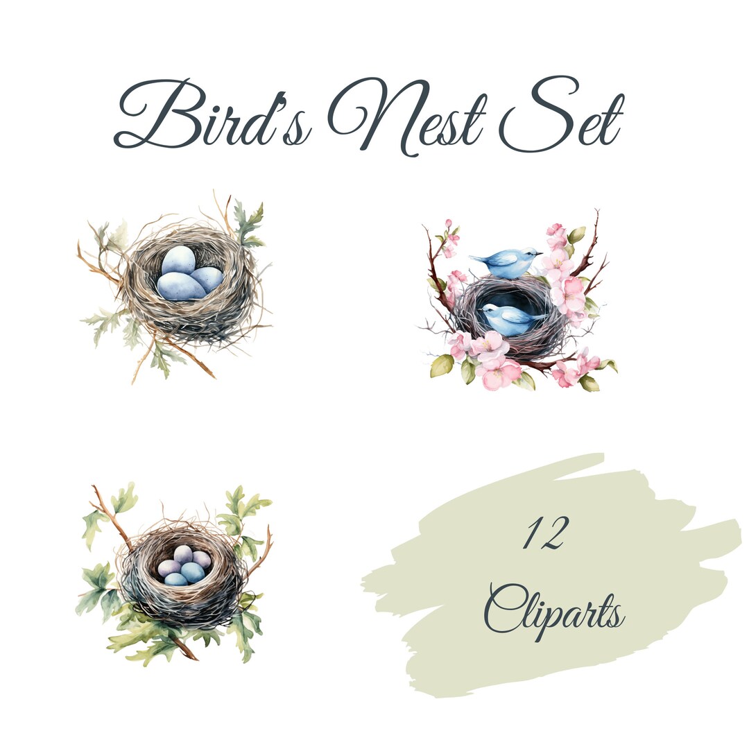 Bird Nests Clipart Set: 15 High Quality Pngs, Watercolor Wild Birds ...