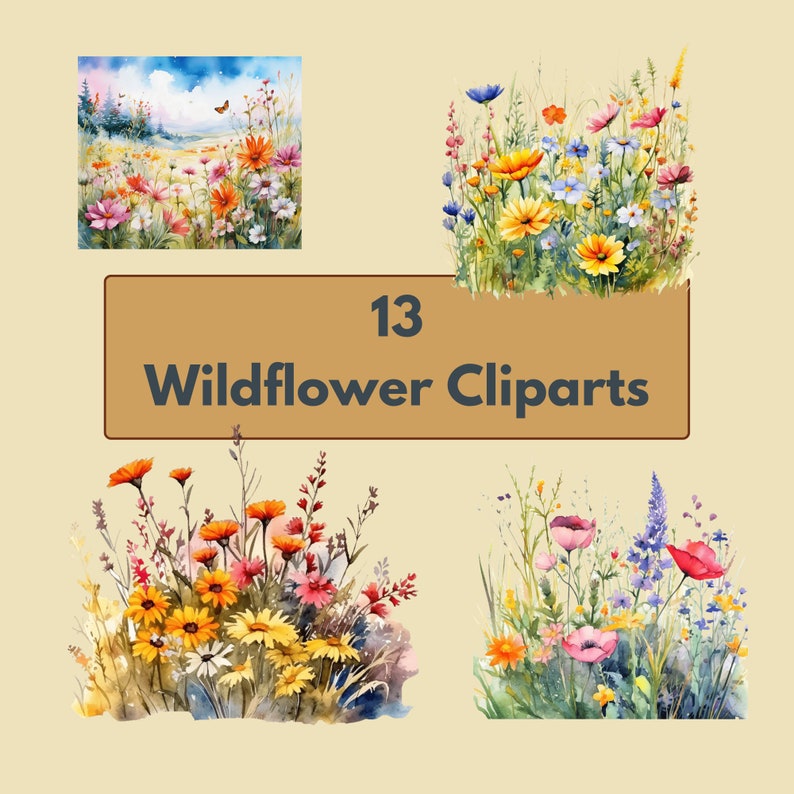 Wildflower Meadow Clip Art Collection 12 High-quality Pngs Perfect for ...