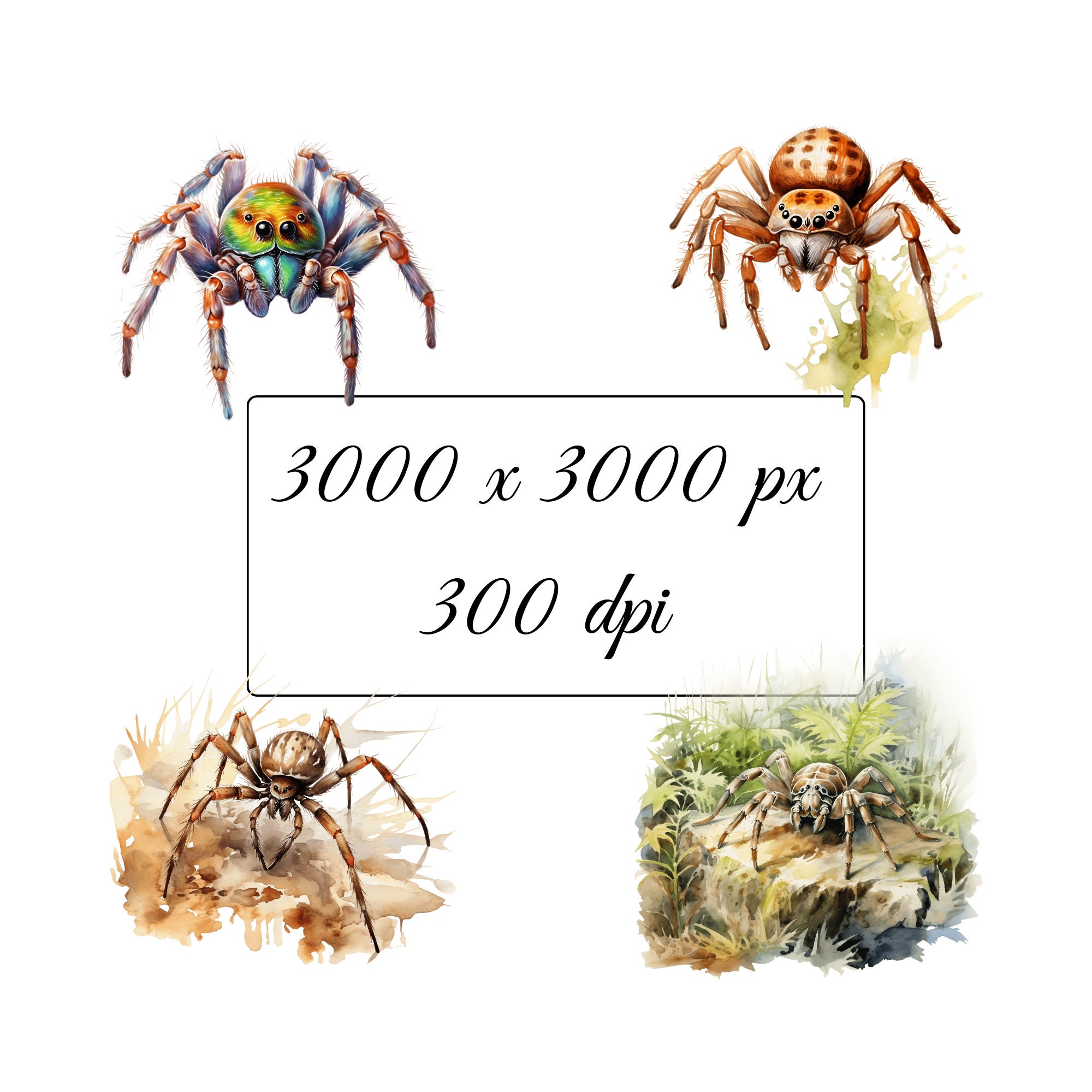 Spiders Clipart Set: 12 High Quality Pngs, Watercolor Spider Clip Art ...