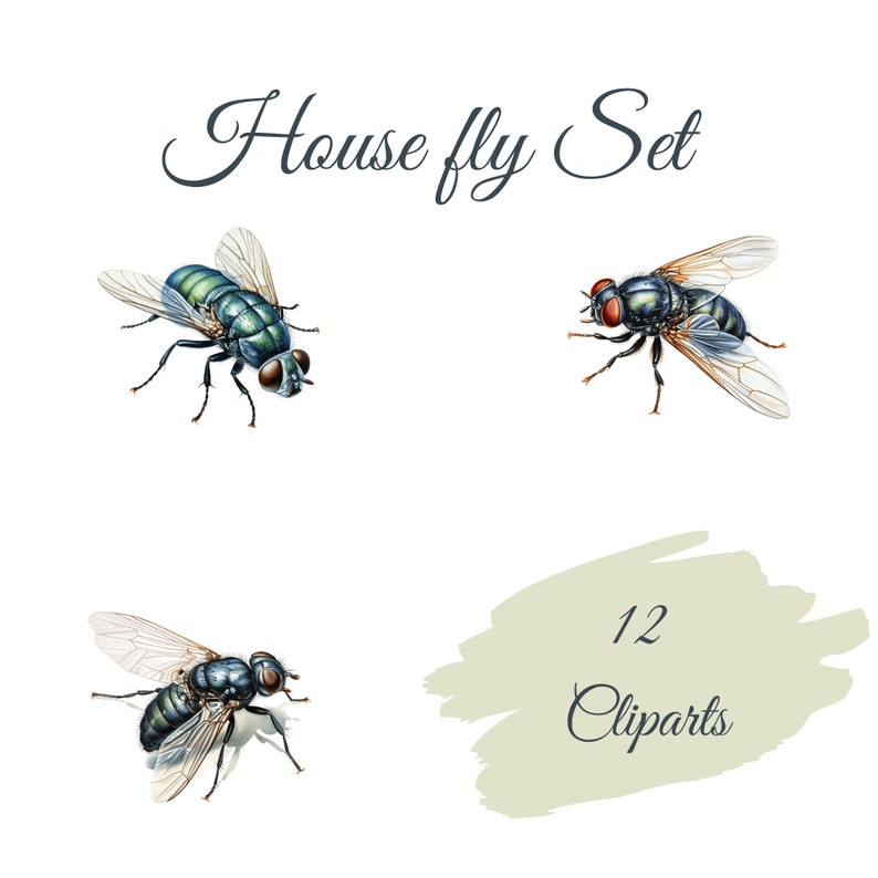 Fly Clipart Set: 12 High Quality Pngs, Watercolor Insects Clip Art Card ...