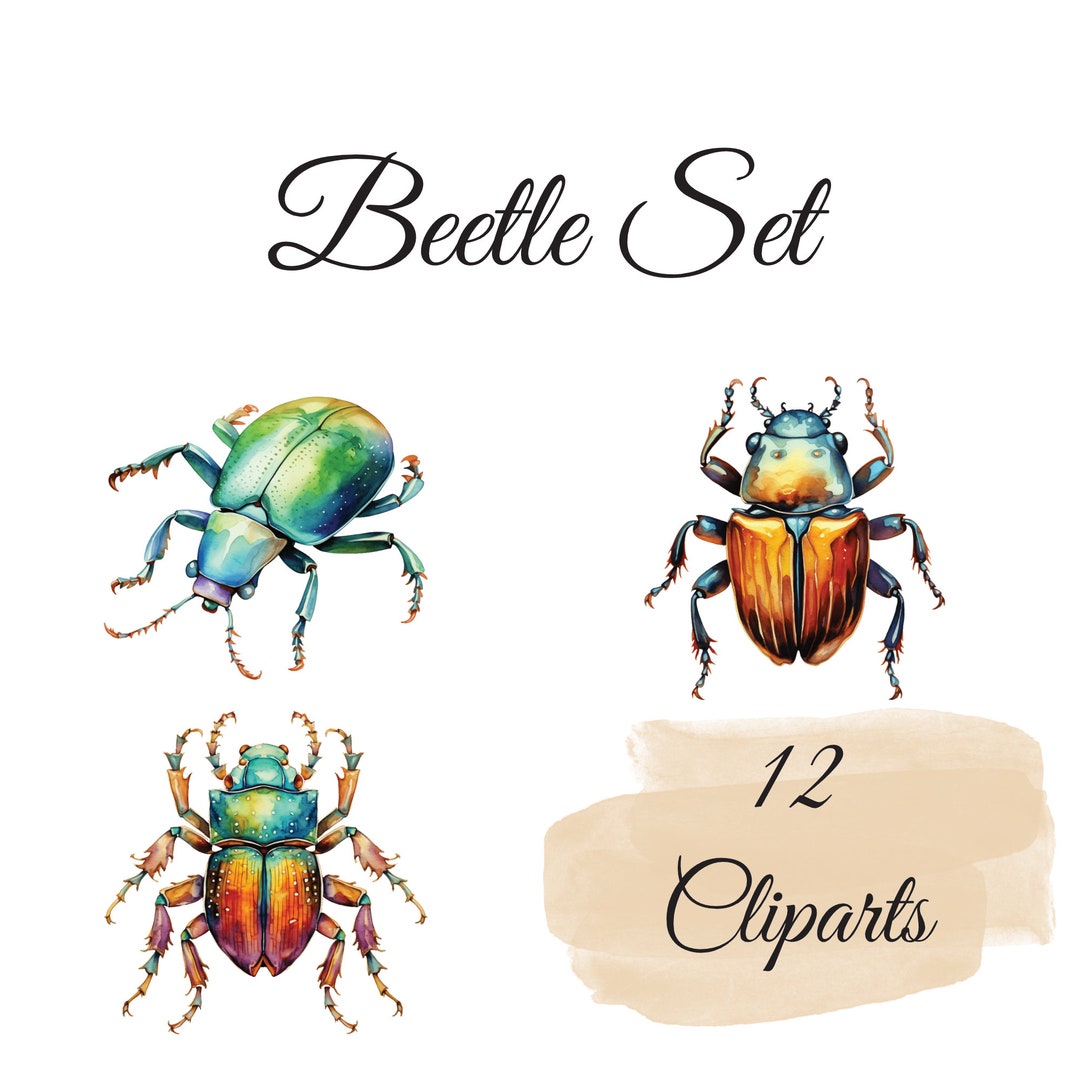 Insect Magic: 12 Artistic Beetle Clipart in Watercolor, Watercolor ...