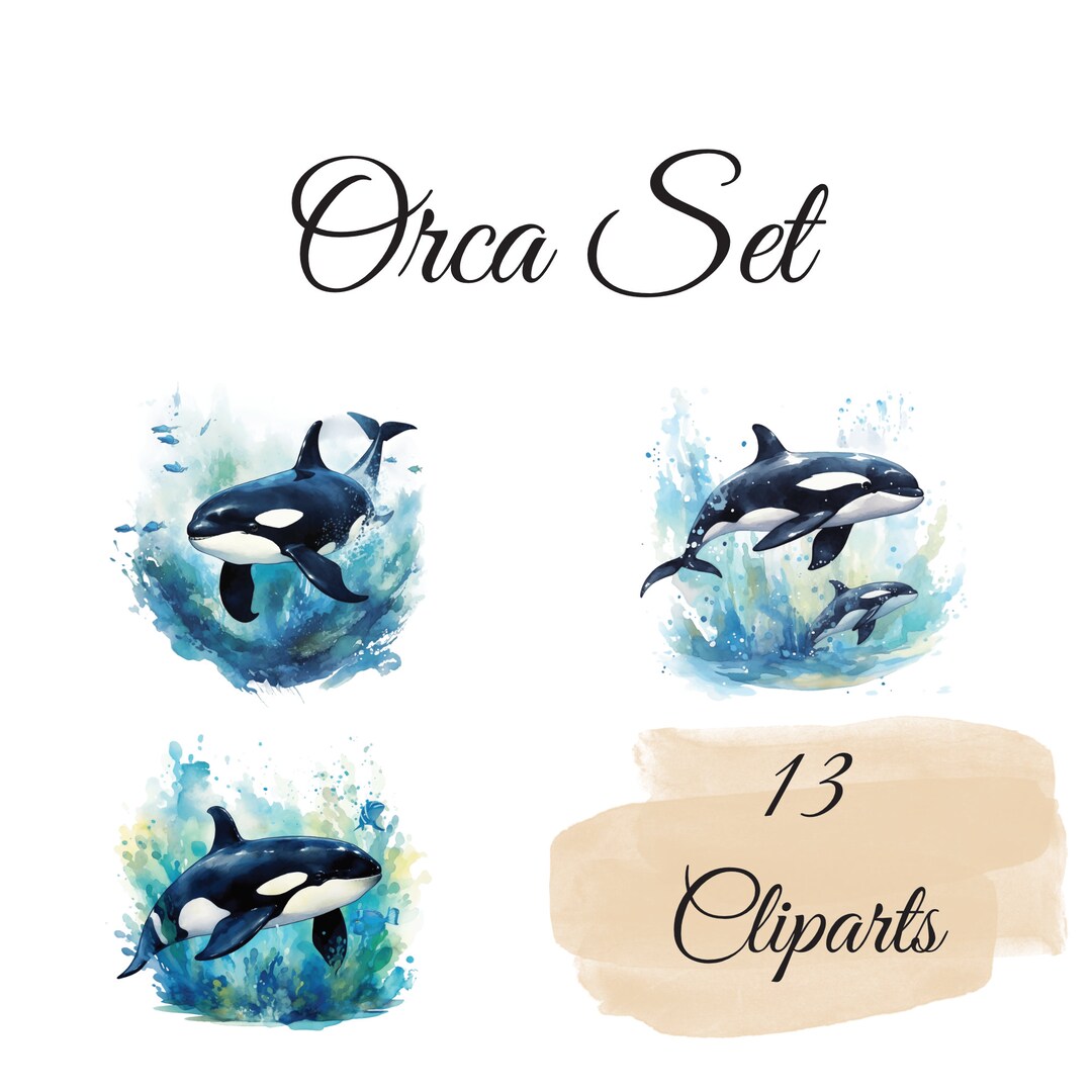 Under the Sea: 13 Orka Watercolor Cliparts Perfect for Education, Ocean ...