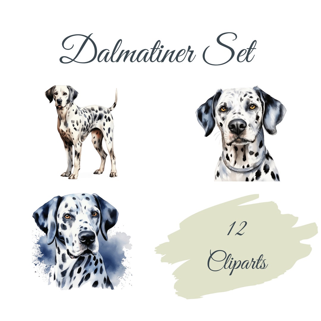 Dalmatian Clipart Set: 12 High Quality Pngs, Dalmatian Clip Art - Card ...