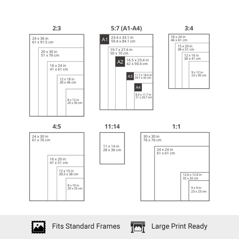 JAPANDI Kiku Blossom Wall Art Chrysanthemum Flower Floral Autumn ...
