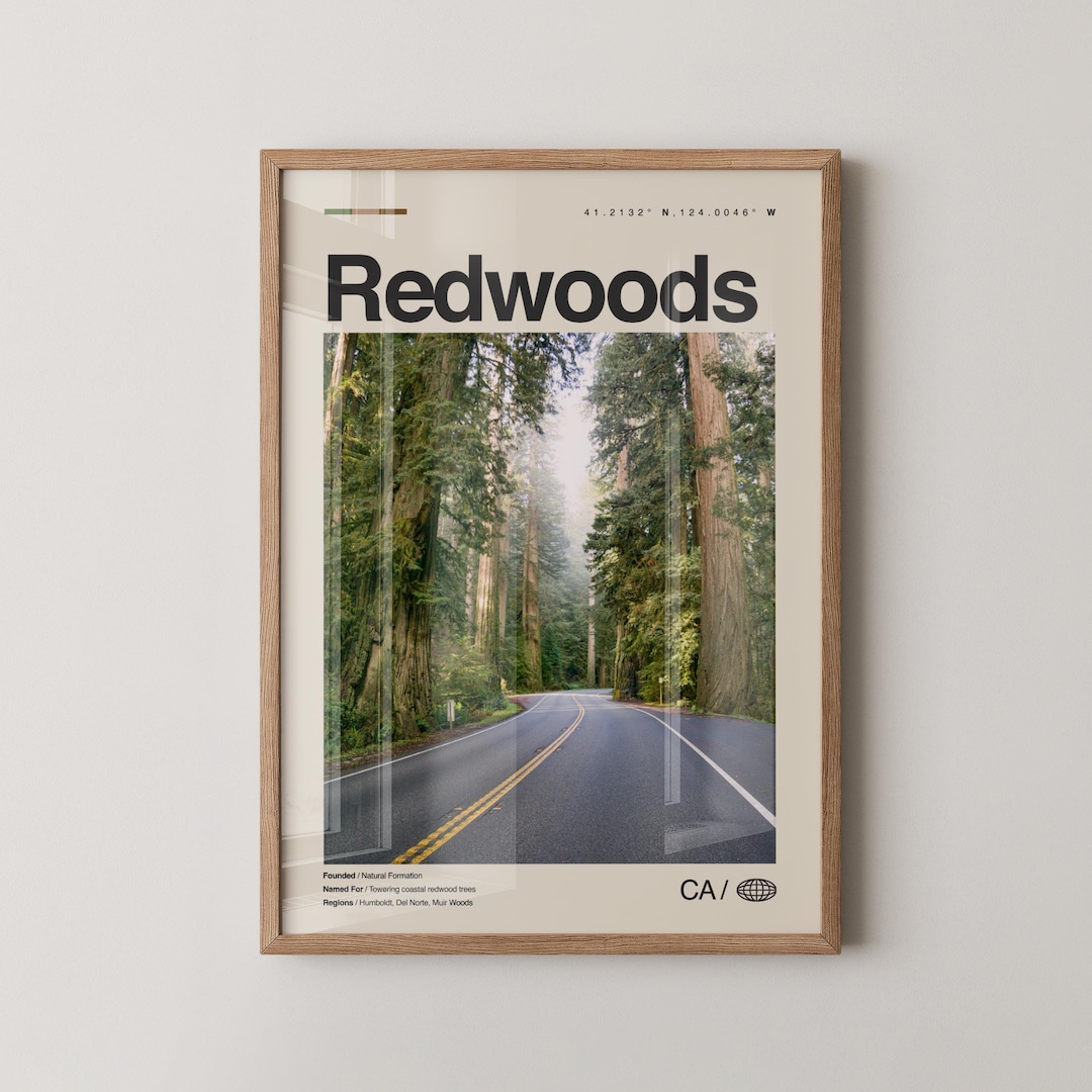 Redwoods Print California, Redwoods Wall Art, Redwoods Poster, Redwoods ...