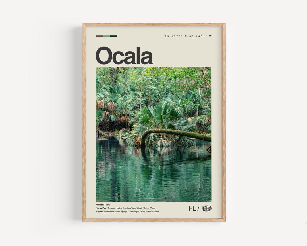 Ocala Print Florida, Ocala Wall Art, Ocala Poster, Ocala Photo, Silver ...