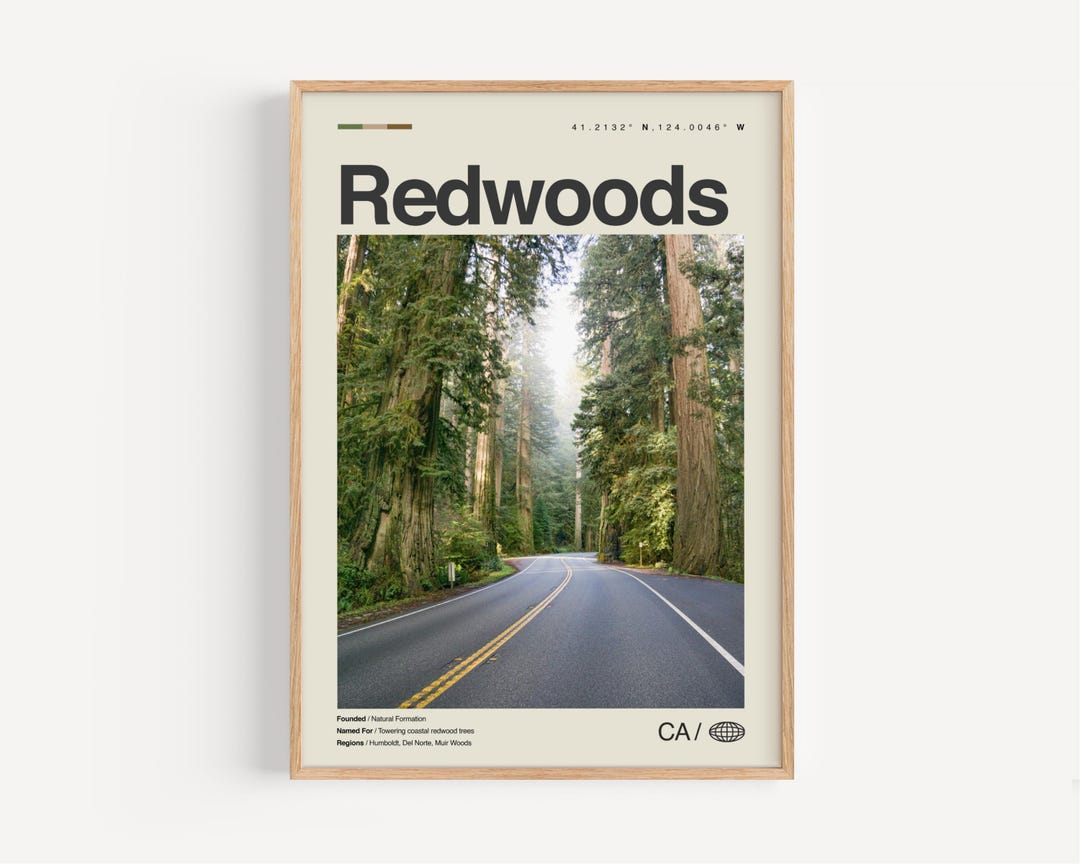 Redwoods Print California, Redwoods Wall Art, Redwoods Poster, Redwoods ...
