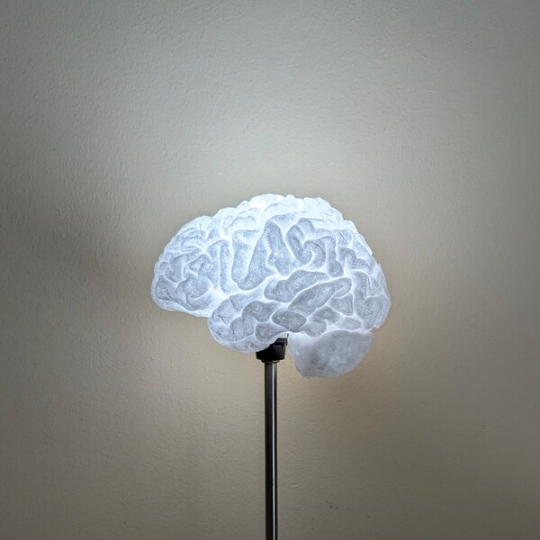 Brain Lamp - Etsy
