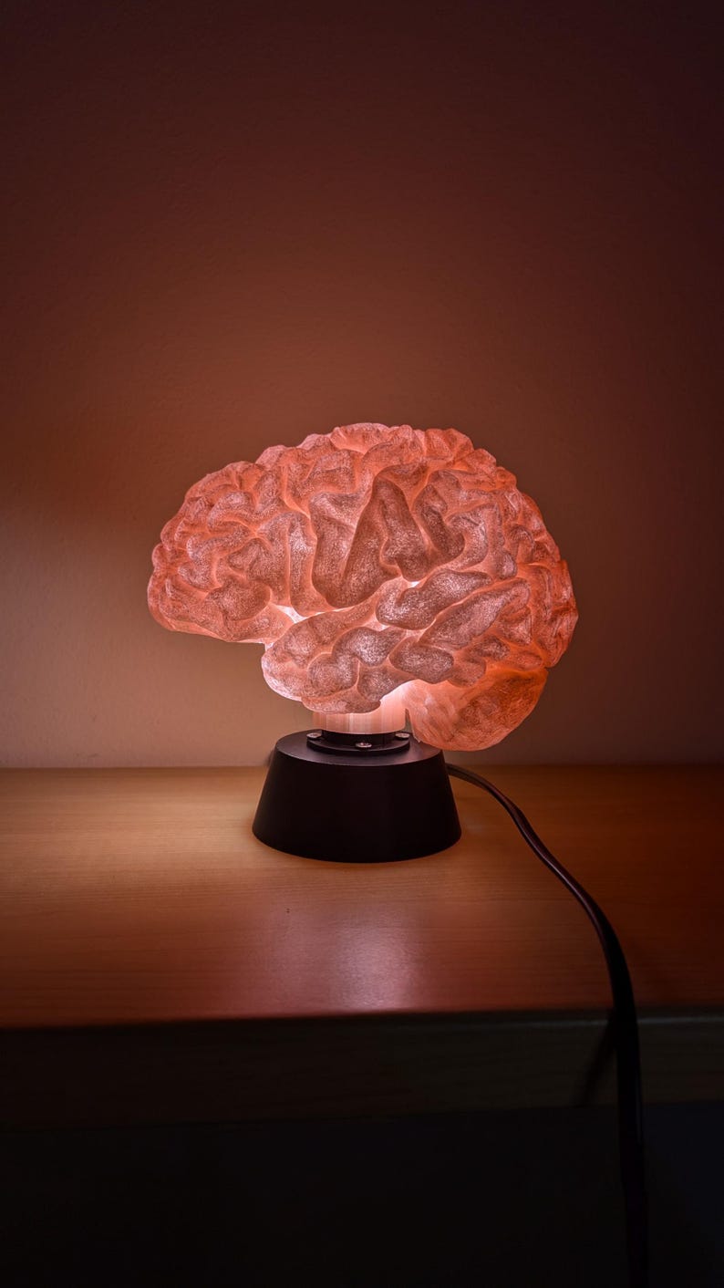 3D Printed Brain Lamp - Unique and Original Design for Science and Modern Art Lovers - Etsy