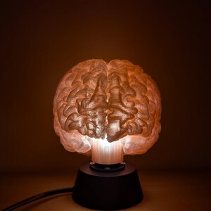 3D Printed Brain Lamp - Unique and Original Design for Science and ...