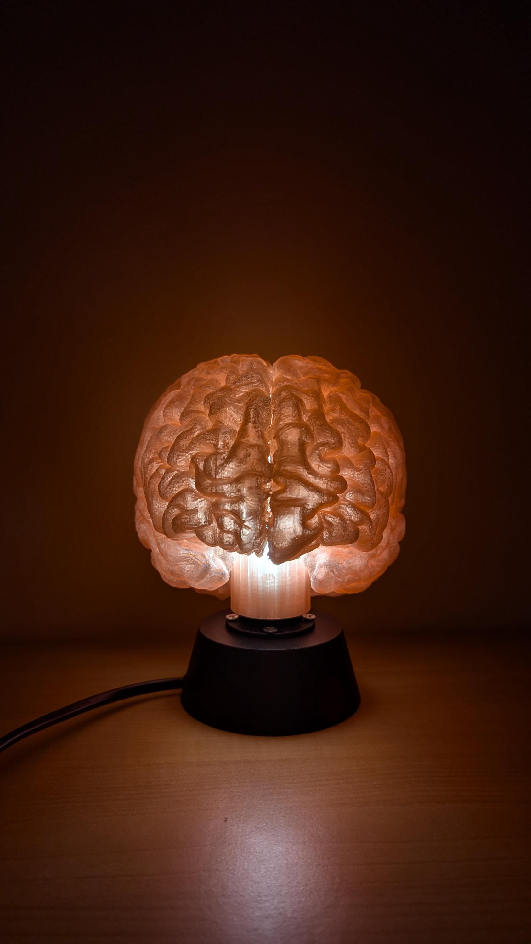 3D Printed Brain Lamp - Unique and Original Design for Science and ...