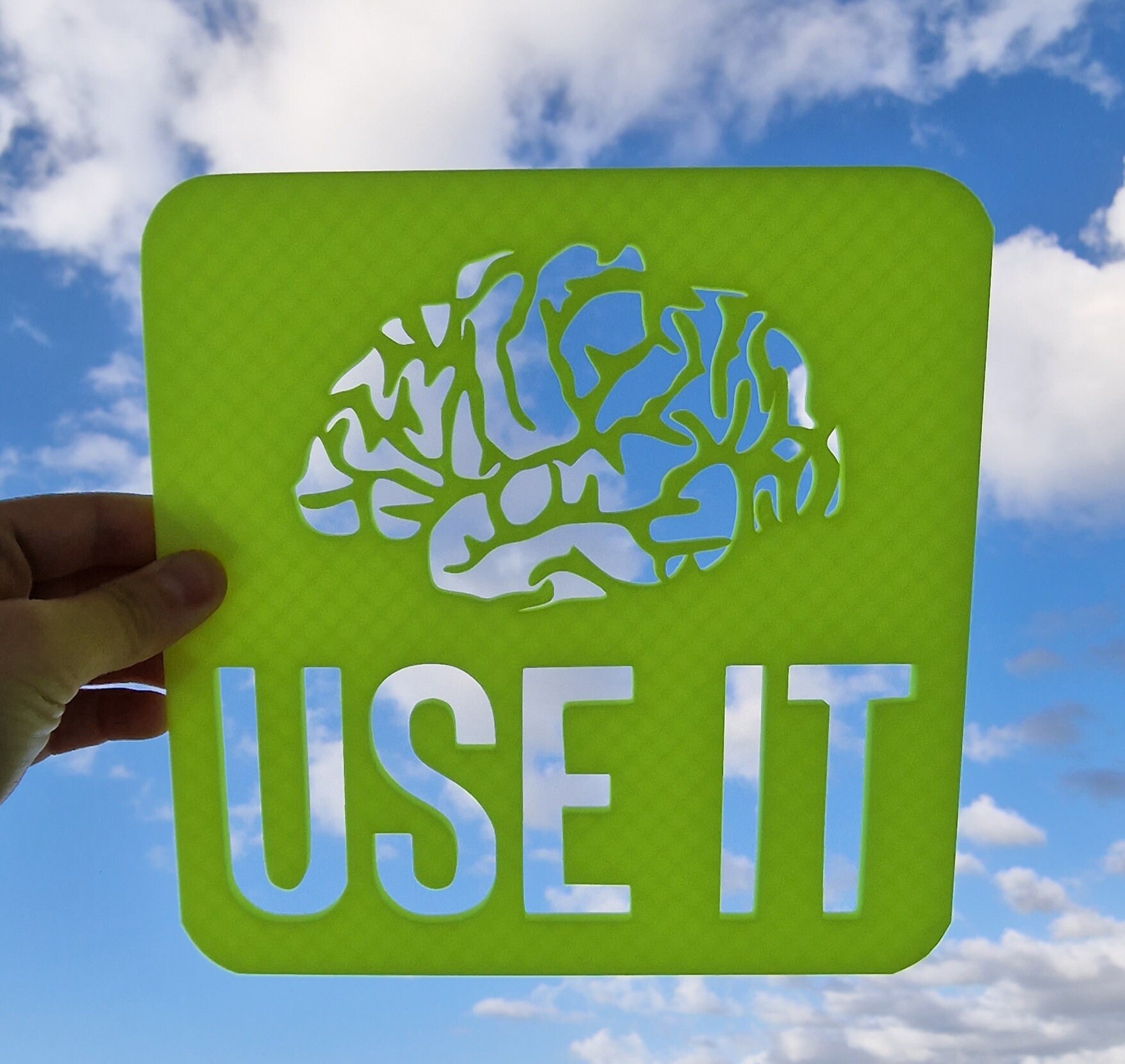 Use It Sign, 3d Printed Brain Wall Art, Science Art, Brain Sign ...