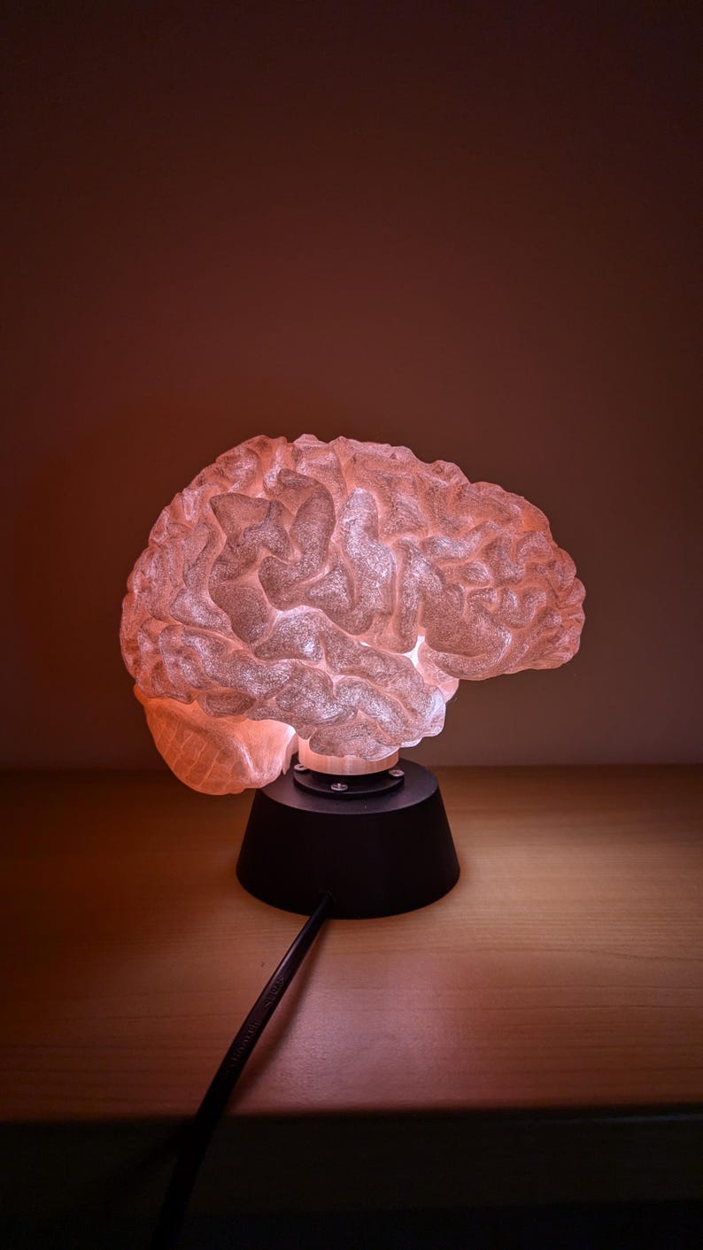 3D Printed Brain Lamp - Unique and Original Design for Science and ...