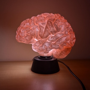 3D Printed Brain Lamp - Unique and Original Design for Science and ...