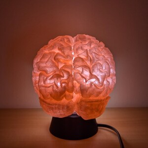 3D Printed Brain Lamp - Unique and Original Design for Science and ...