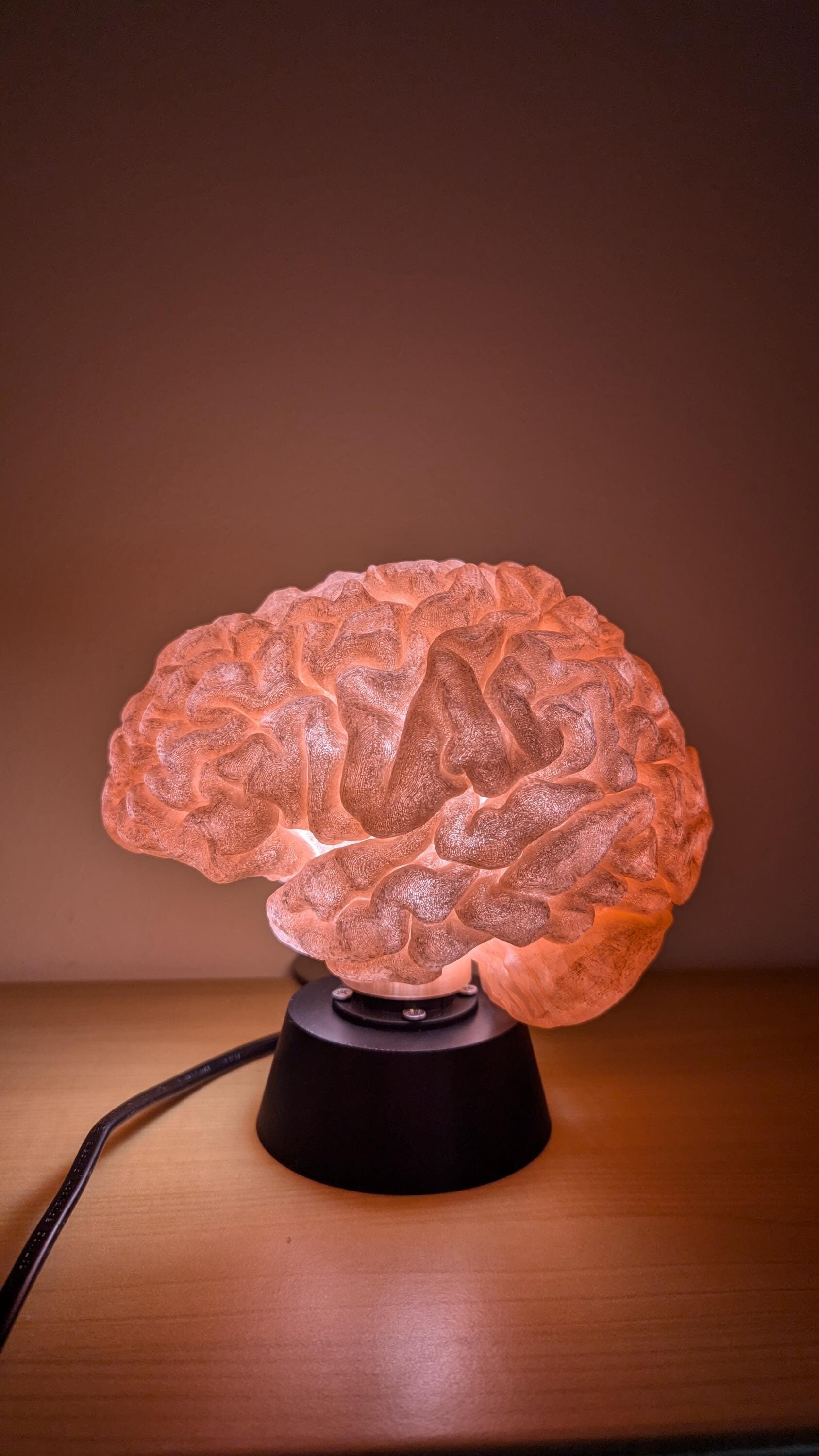 3D Printed Brain Lamp - Unique and Original Design for Science and ...