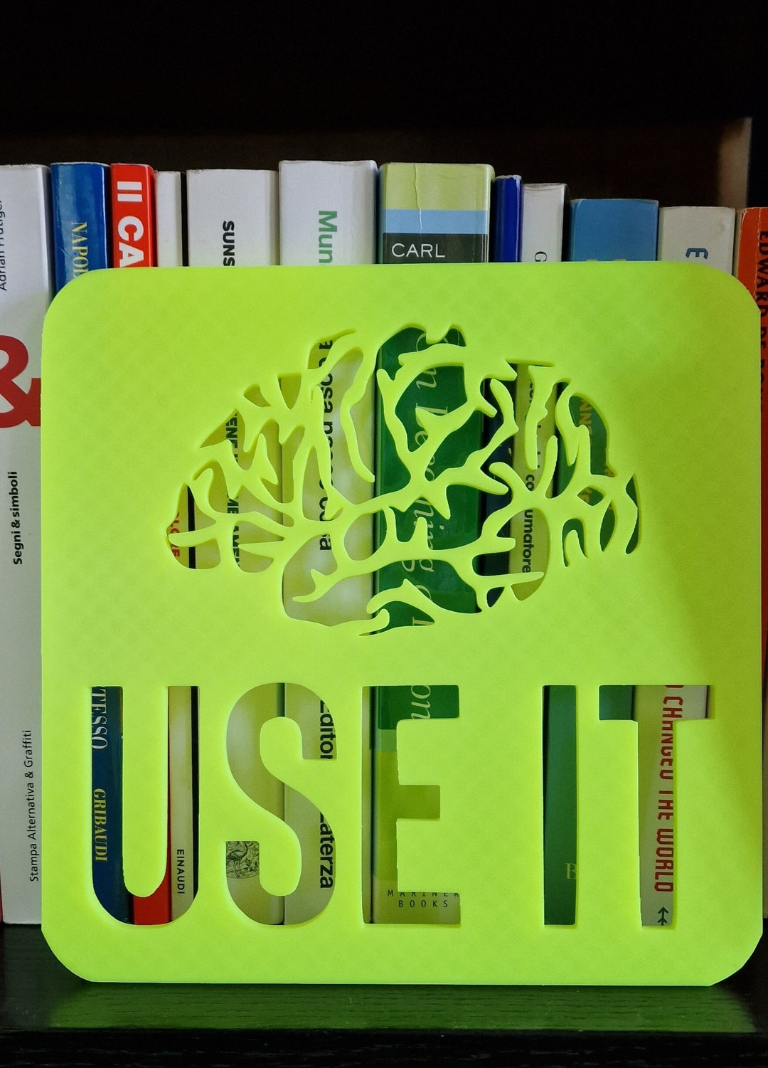 Use It Sign, 3d Printed Brain Wall Art, Science Art, Brain Sign ...