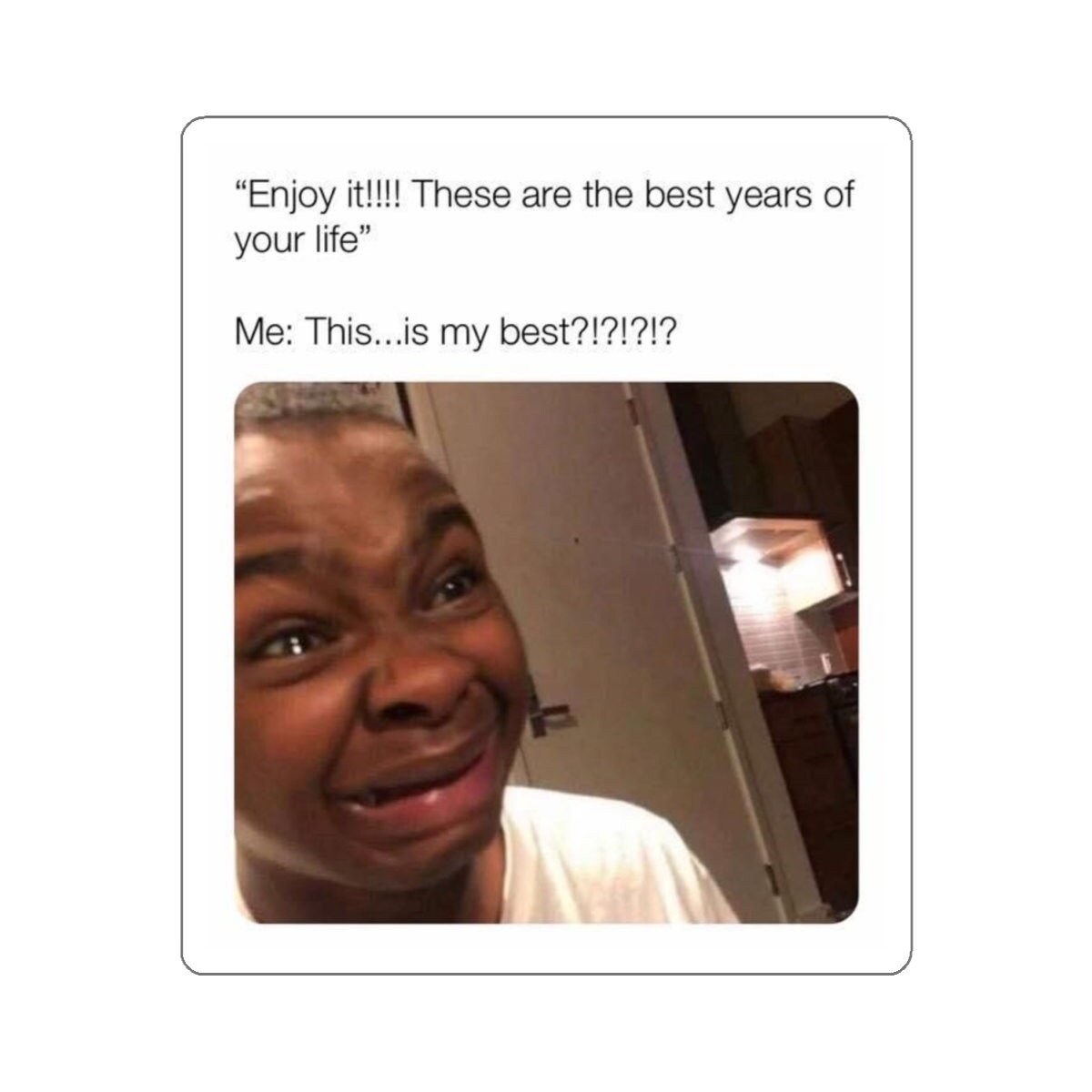 Meme Sticker Funny Sticker - Etsy