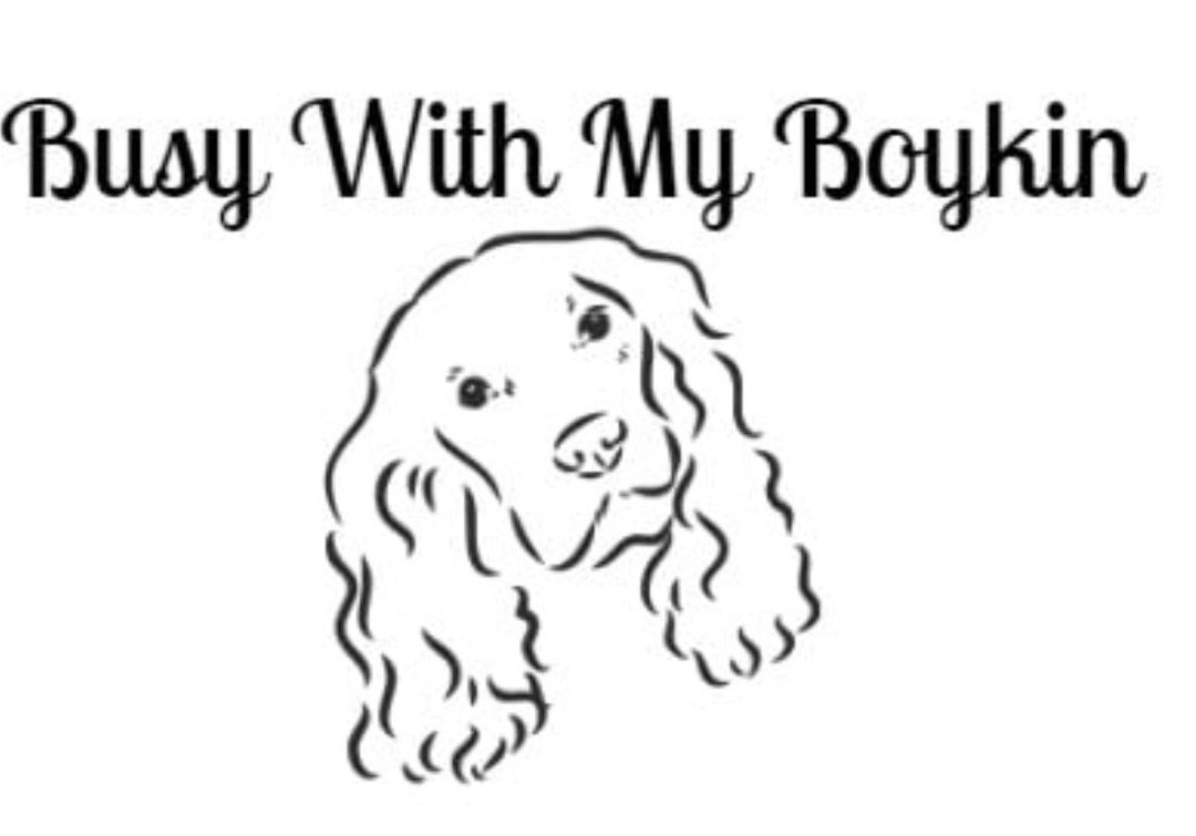 Boykin Spaniel SVG Pack - Etsy