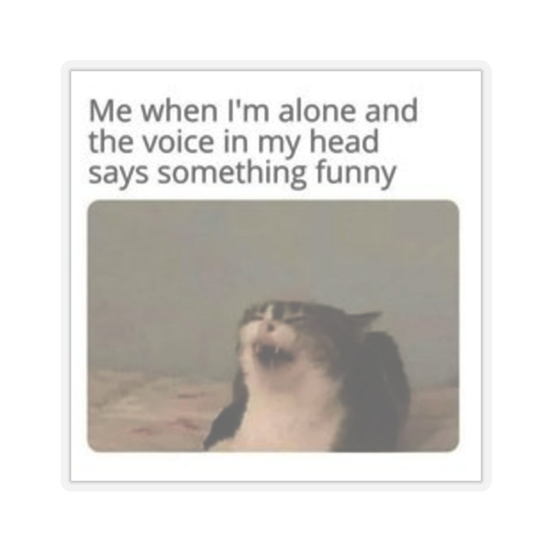 Funny Meme Sticker Funny Sticker - Etsy