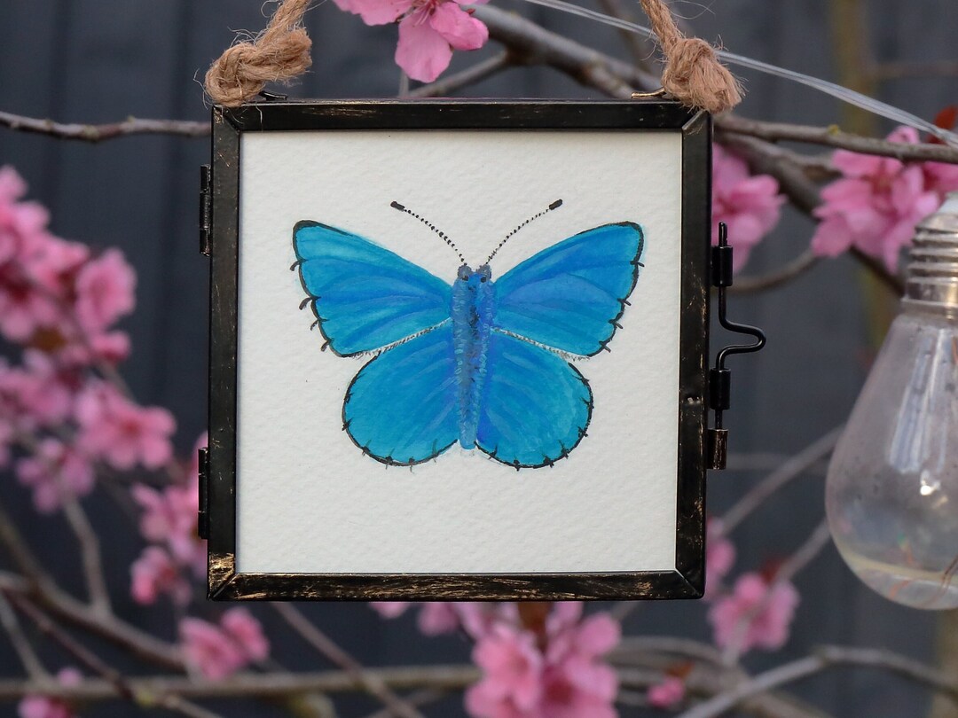 Small Framed Blue Butterfly Original Watercolour - Etsy