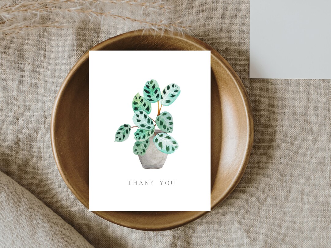Thank You Card - Greeting Card - Plant Thank You Card - Stationery ...