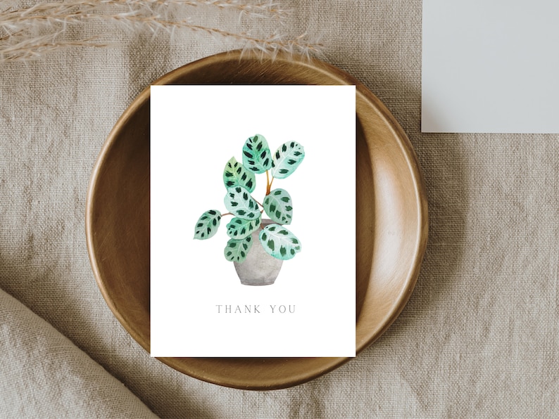 Thank You Card - Greeting Card - Plant Thank You Card - Stationery ...