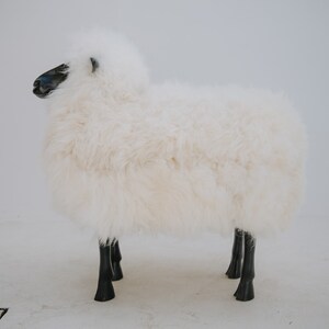 Cozy With Character: the "sheep Chair" That Wins Hearts! Natural White ...