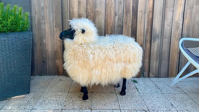 White Sheep Chair: Natural Sheepskin Accent Furniture - Etsy