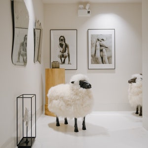 Large Couple Ram & Sheep Chair Made of Natural White Sheep Fur in the ...