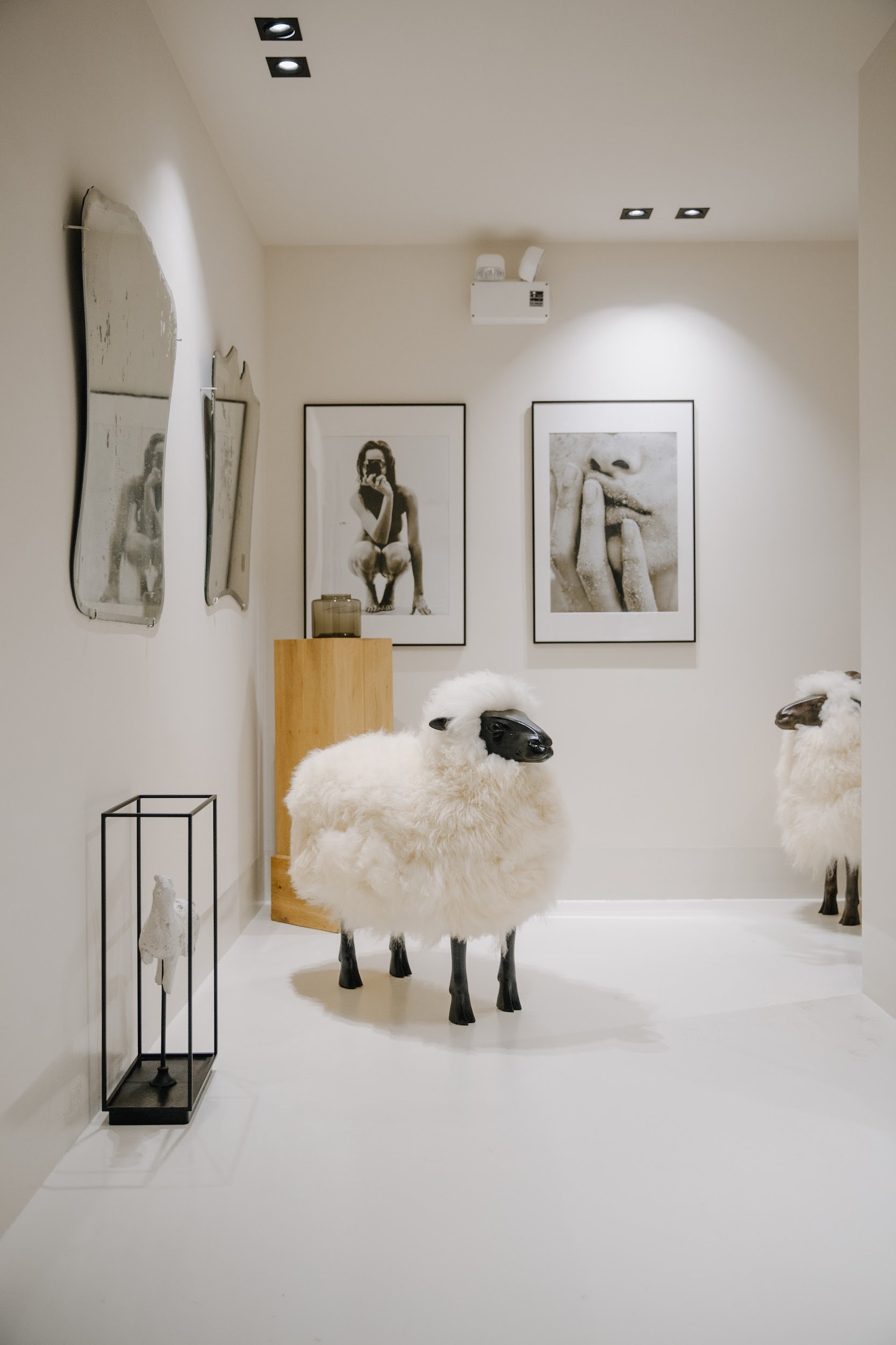 Large Couple Ram & Sheep Chair Made of Natural White Sheep Fur in the ...