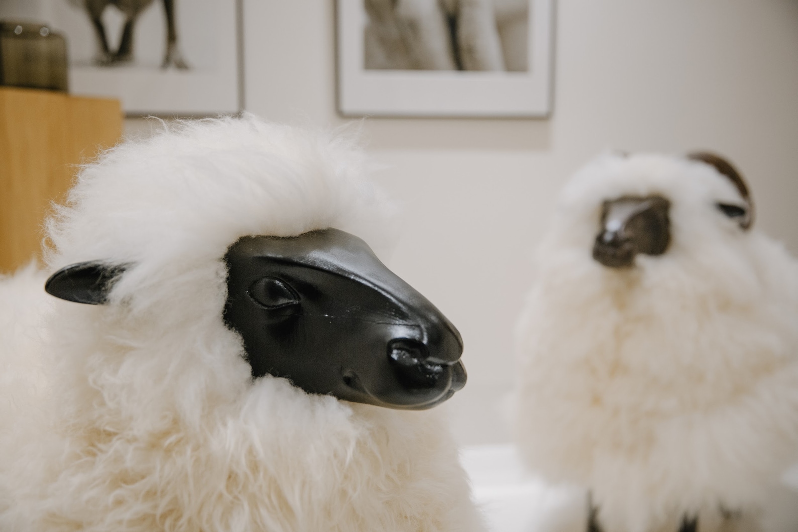 Large Couple Ram & Sheep Chair Made of Natural White Sheep Fur in the ...