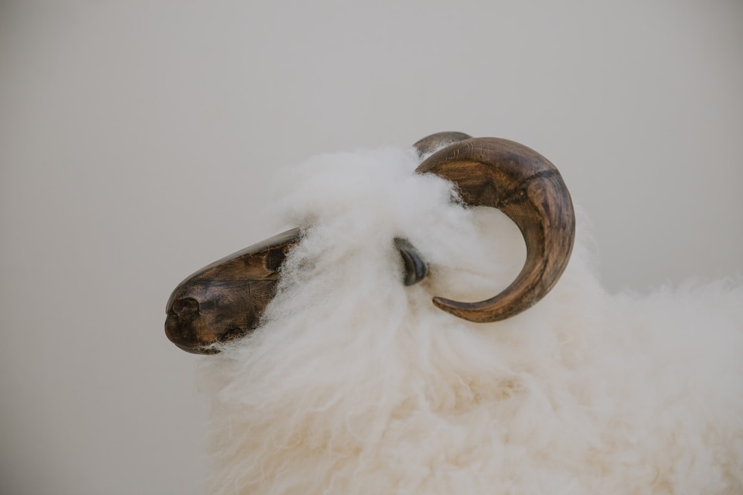 Lalanne Inspired Sheep Sculpture: Natural Sheepskin & Beechwood - Etsy