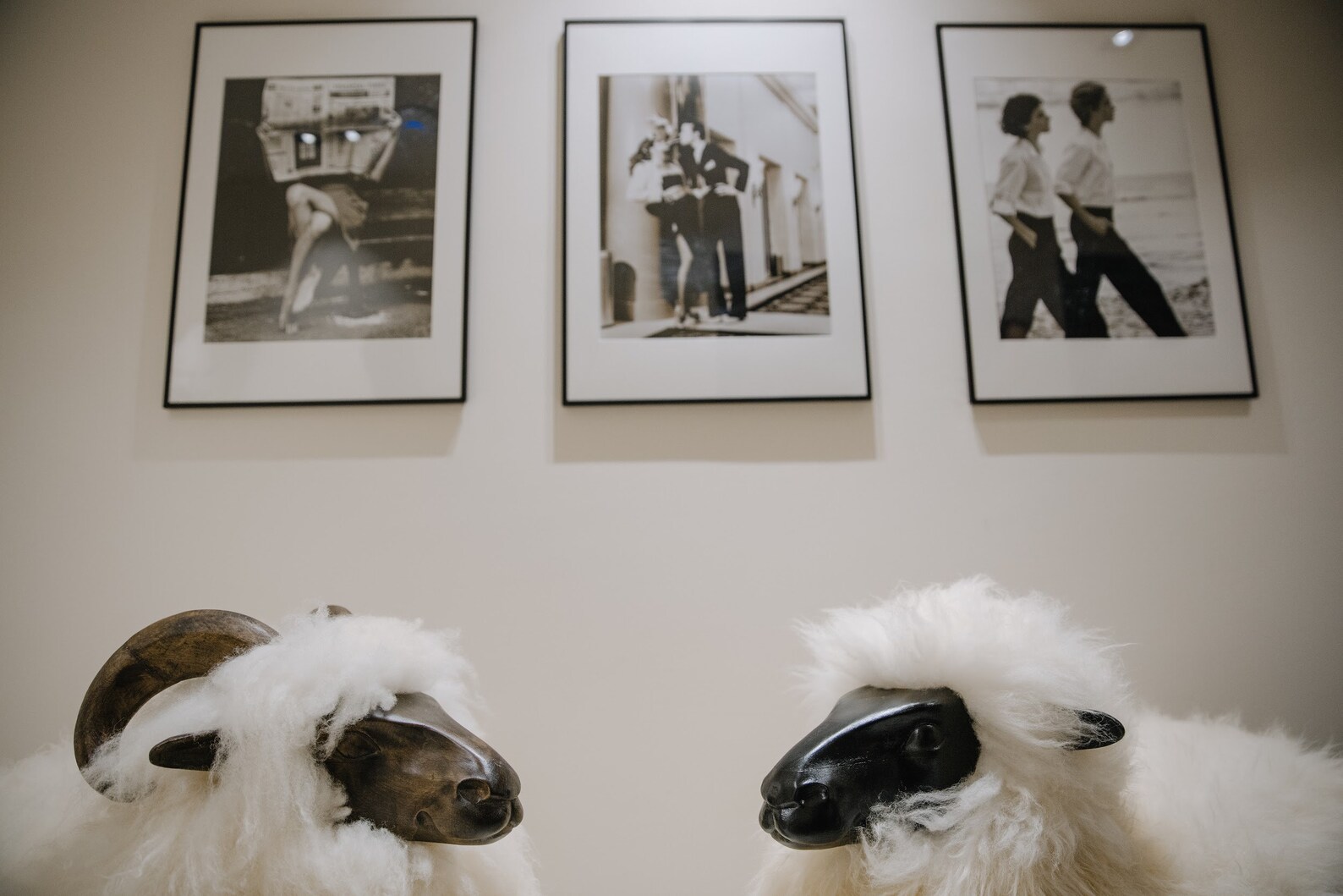 Large Couple Ram & Sheep Chair Made of Natural White Sheep Fur in the ...