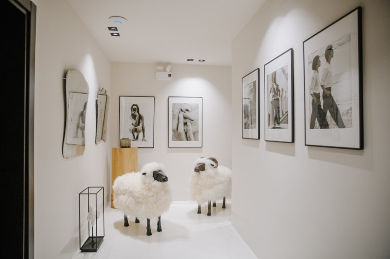 Large Couple Ram & Sheep Chair Made of Natural White Sheep Fur in the ...