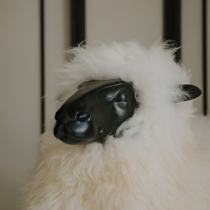 Cozy With Character: the "sheep Chair" That Wins Hearts! Natural White ...