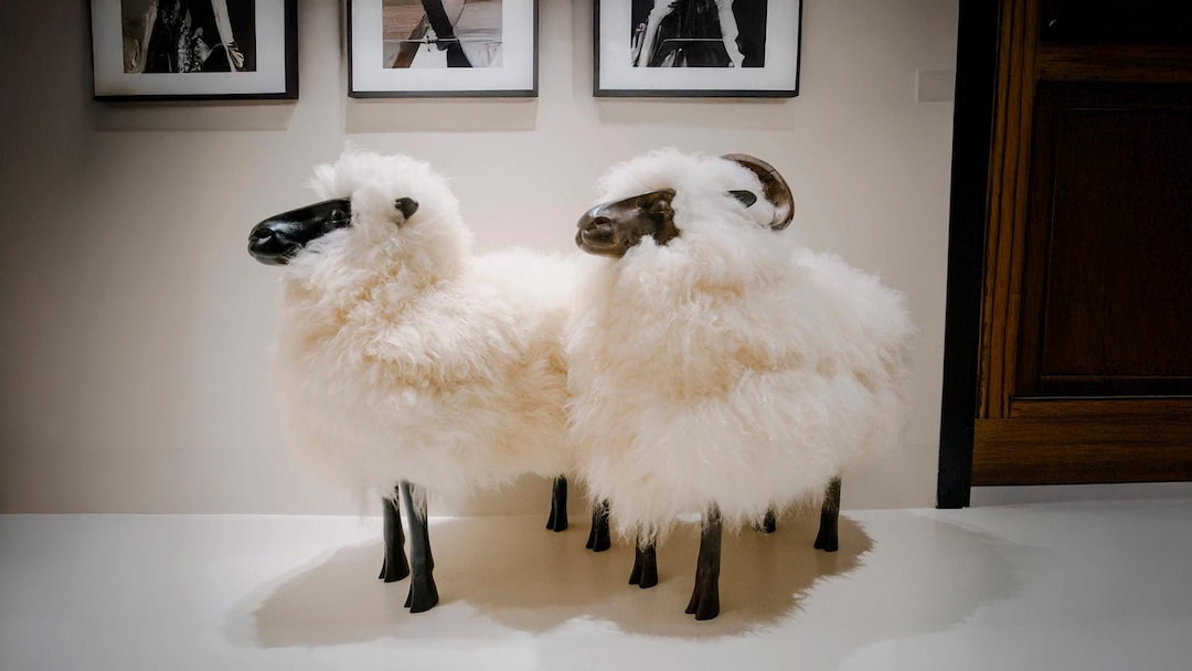HIGH-END Large Couple Ram & Sheep Chair Made of Natural White Sheep Fur ...