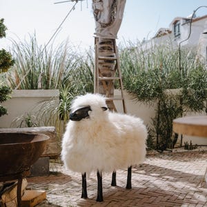 Cozy With Character: the "sheep Chair" That Wins Hearts! Natural White ...